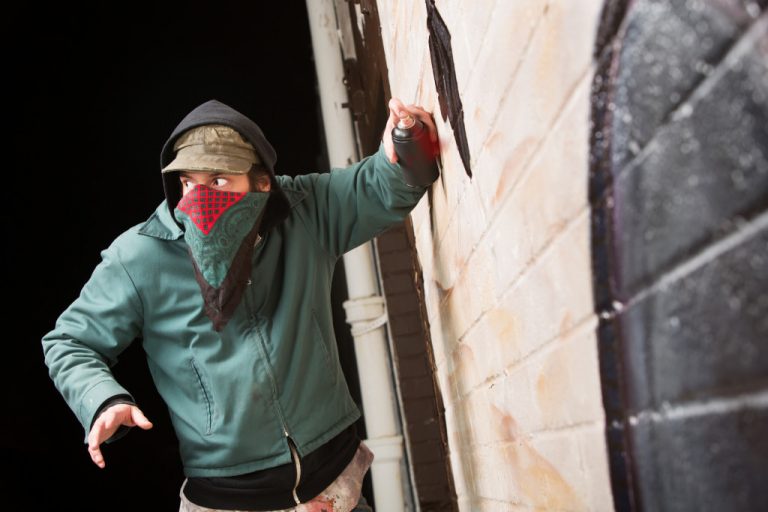 The Relationship Between Crime and Communities in the U.S. - Reef Guardian